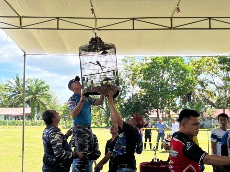 Sambut HUT Armada RI, Pangkalan TNI AL Bengkulu Gelar Lomba Burung ...
